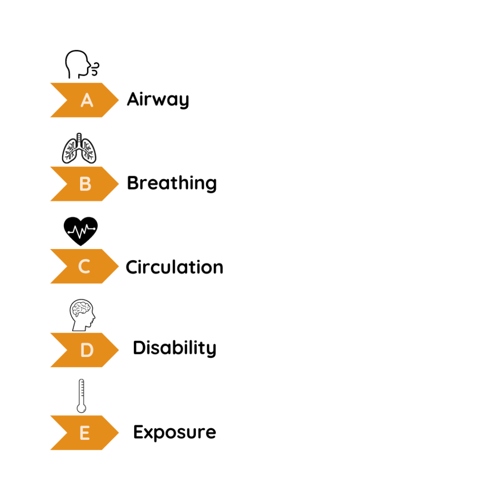ABCDE - methodiek en klinisch redeneren - GoedZorgen